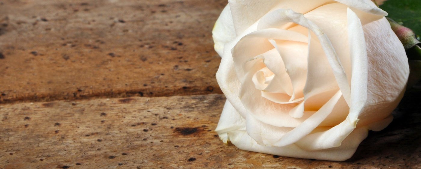 State leaders pay tribute to Marc Basnight - Public Ed Works